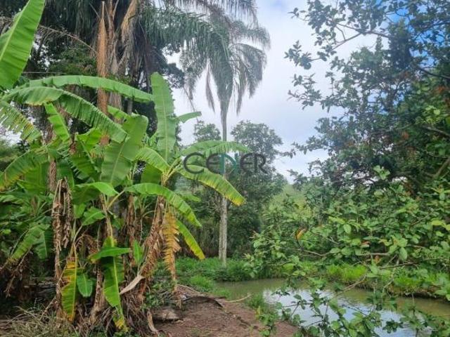 Fazenda das antigas com 130,5 ha na região de São João Del Rei MG