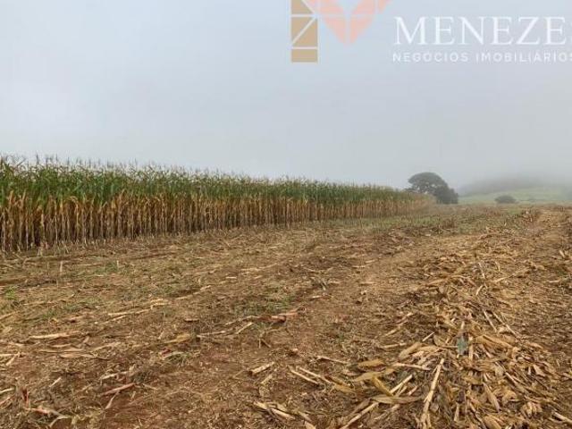 Fazenda de à venda em Bom Sucesso MG