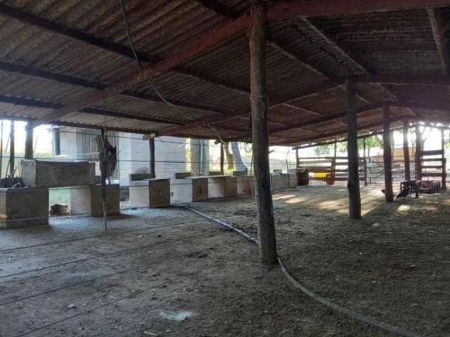 FAZENDA DE ALTO POTENCIAL – OPORTUNIDADE ÚNICA LIUZIANIA