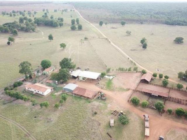 Fazenda de Alto Potencial à Venda – MT