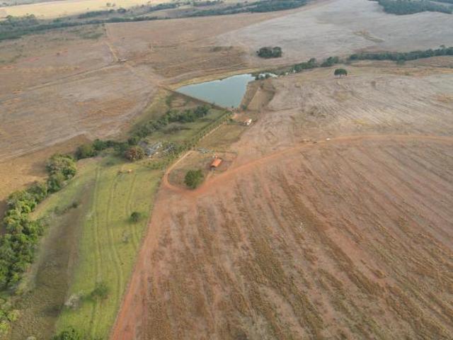 Fazenda de Alto Potencial em Piracanjuba GO: Oportunidade Única na Zona Rural!