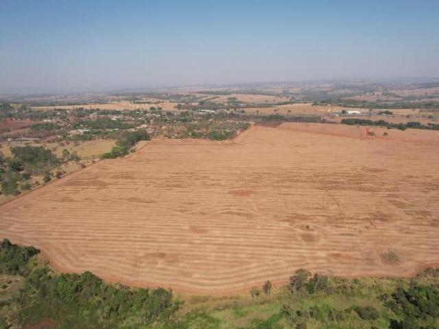 Fazenda de alto potencial produtivo em Piracanjuba GO, Zona Rural: oportunidade única de investiment