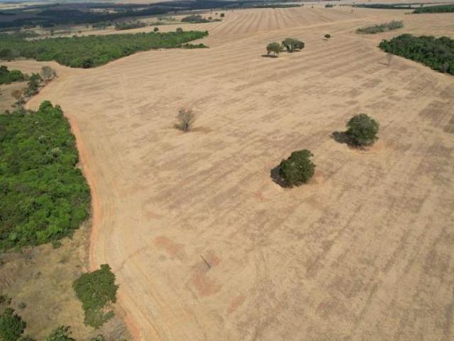 Fazenda de alto potencial produtivo em Piracanjuba GO, Zona Rural: oportunidade única de investiment