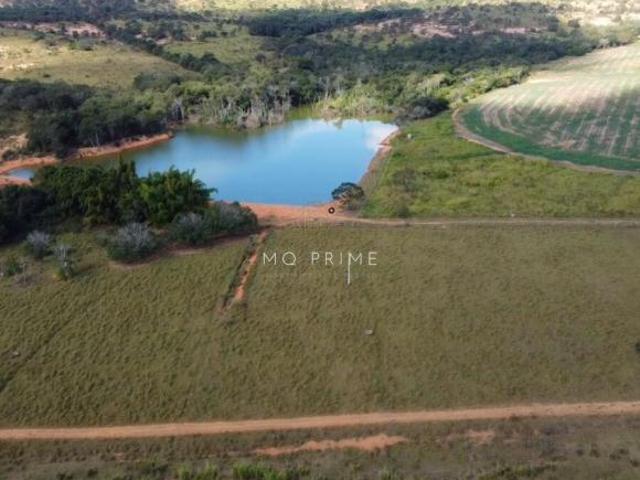 Fazenda de Alto Padrão à Venda – 368 Hectares na Margem do Rio São Francisco | R$ 24.000.000,00