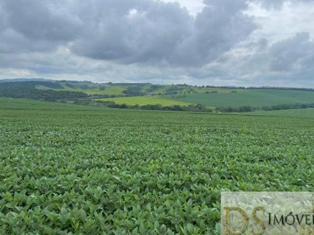 FAZENDA DE ALTO PADRÃO À VENDA EM ITAPORANGA/SP: 287 ALQUEIRES, ÓTIMA ESTRUTURA E LOCALIZAÇÃO!