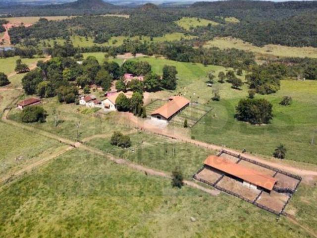 FAZENDA DE ALTO PADRÃO À VENDA – PECUÁRIA COMPLETA | MG