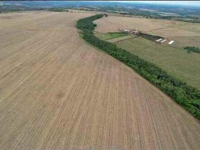 Fazenda de Alto Rendimento à Venda em Piracanjuba, GO – 124 Alqueires com Infraestrutura Completa