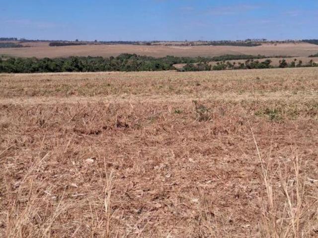 Fazenda de Alta Produtividade à Venda – 1.635 Hectares | Região Estratégica e Forte Aptidão Agrícola