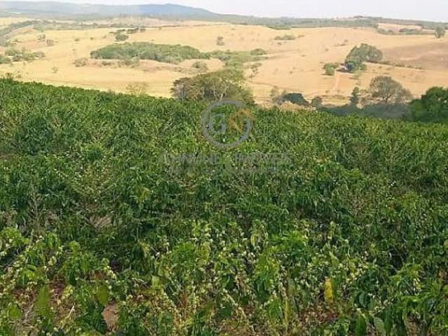 Fazenda de Café 420 ha em Bom Sucesso MG | Sul de Minas