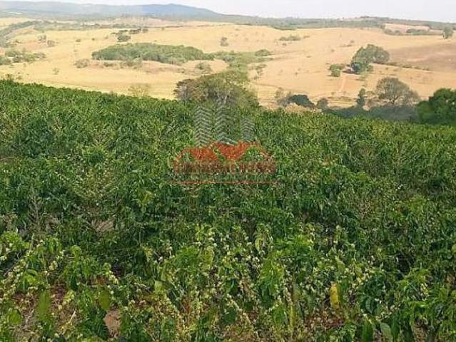 Fazenda de Café 420 ha em Bom Sucesso MG | Sul de Minas