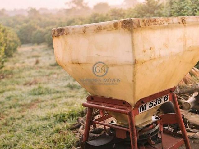Fazenda de Café à Venda 148 ha em Conceição do Rio Verde