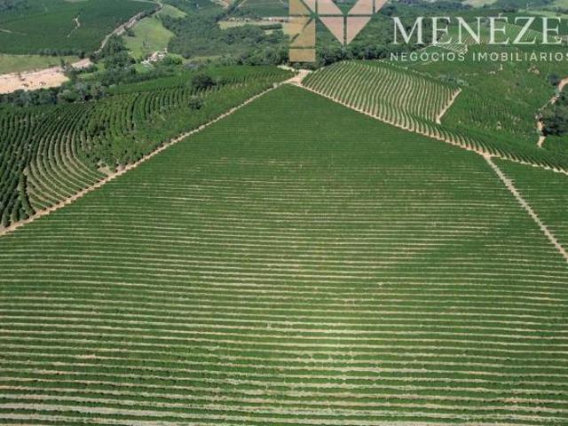Fazenda de café à venda em Muzambinho MG