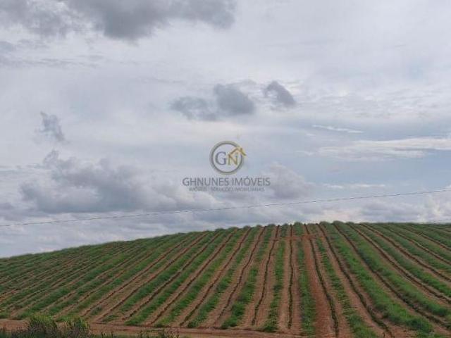 Fazenda de Café à Venda em Oliveira MG | 67,3 ha e Irrigação