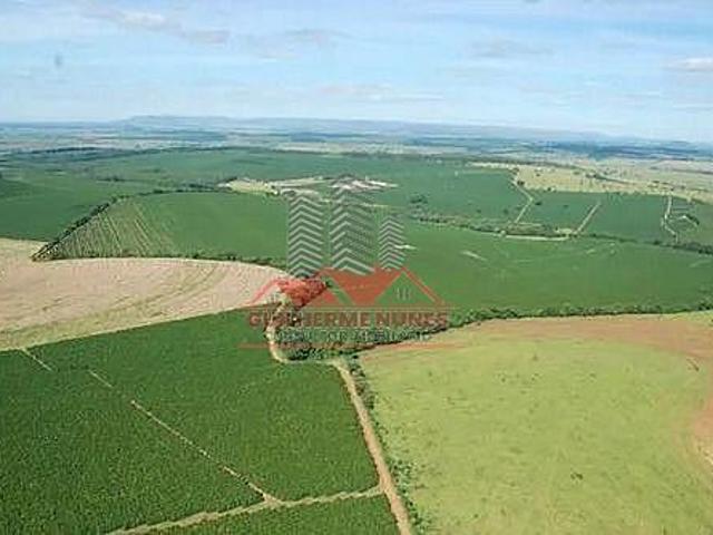 Fazenda de Café à Venda em Piumhi MG 530 ha Produtivos