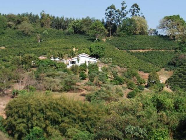 Fazenda de Café à venda no Sul de MG