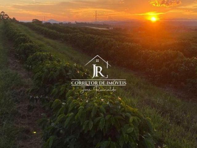 FAZENDA DE CAFÉ À VENDA – PORTEIRA FECHADA