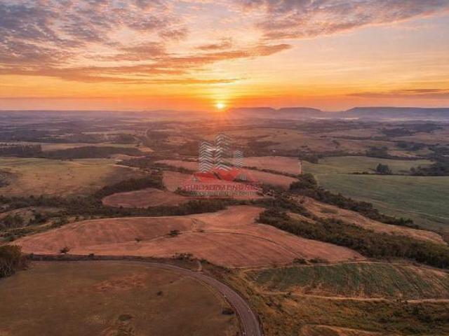 Fazenda de Café à Venda: São Sebastião do Paraíso MG