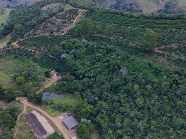 Fazenda De Café Árabica À Venda Em MG 65 Mil Pés Produtivos