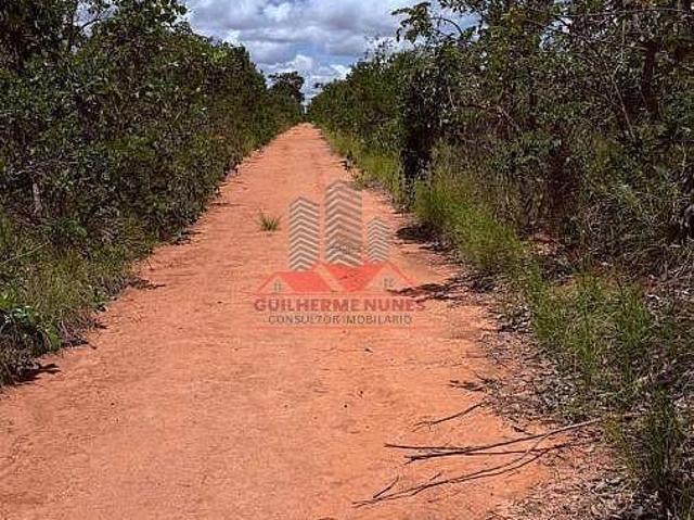Fazenda de Café em Grão Mogol MG | 146 ha | Aceita Permuta