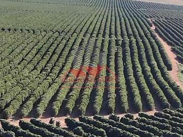 Fazenda de Café em Paraíso MG: 500ha a 1.200m de Altitude