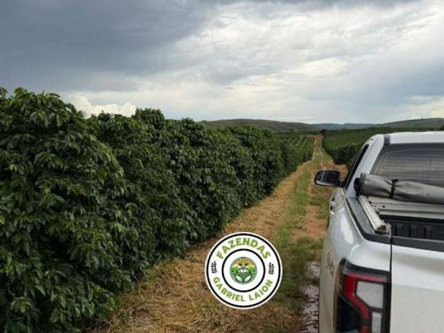 FAZENDA DE CAFÉ ES – 1.000 HECTARES IBIÁ | MINAS GERAIS