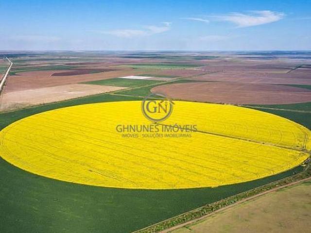 Fazenda de Café Irrigado à Venda em MG | 3.550 ha | R$ 300 M