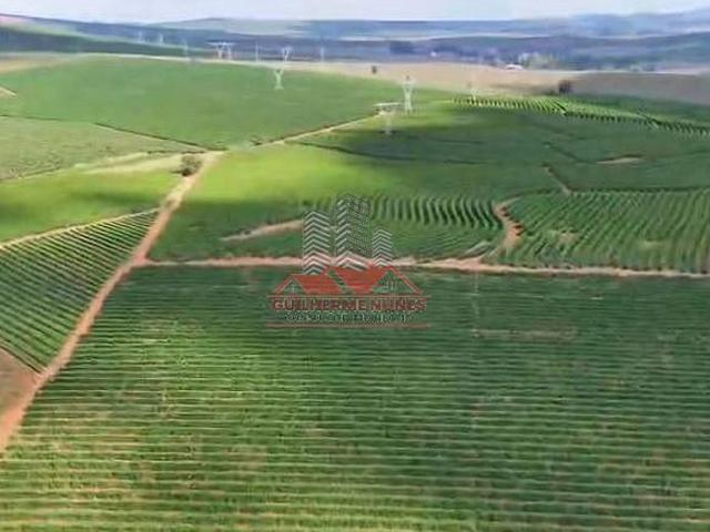 Fazenda de Café Irrigada: 475ha em Boa Esperança e Ilicínea