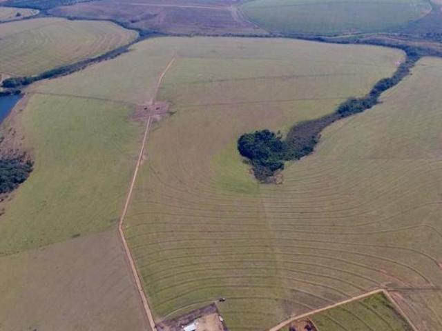 Fazenda de Café produzindo com maquinário