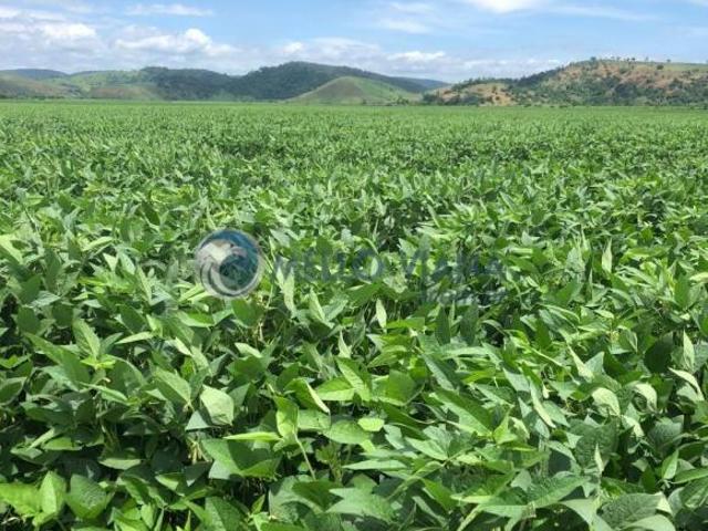 Fazenda de cana de açúcar com 4.655,00 Hectares de Área