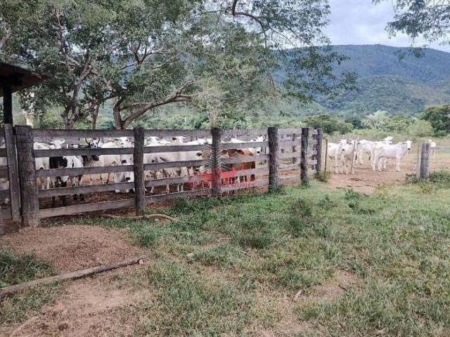 Fazenda de Dupla Aptidão à Venda em Barra do Bugres MT