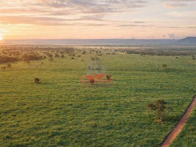 Fazenda de Dupla Aptidão à Venda em Barra do Garças MT