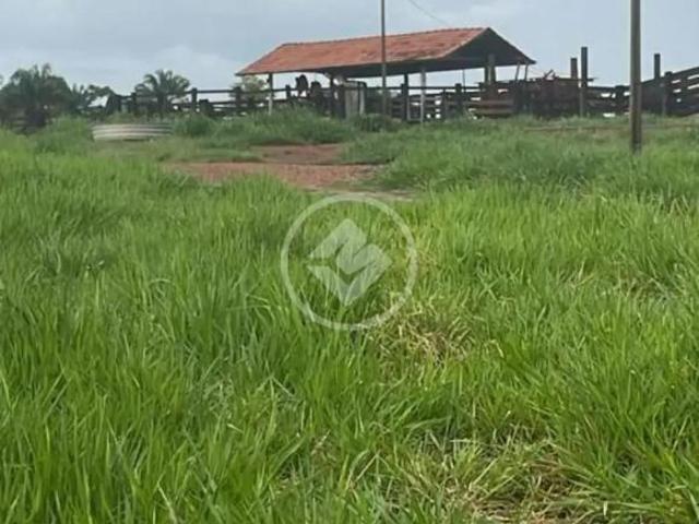 Fazenda de Dupla Aptidão em Poconé – 276 Hectares com Rio, Infraestrutura Completa e Localização Est