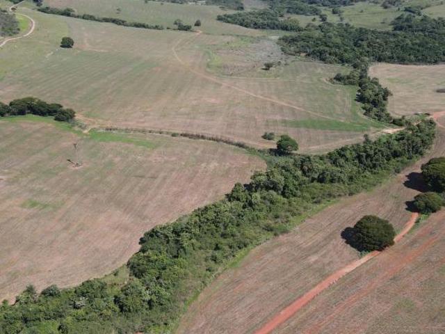 FAZENDA DE DUPLA APTIDÃO ? SERRA DO SALITRE/MG