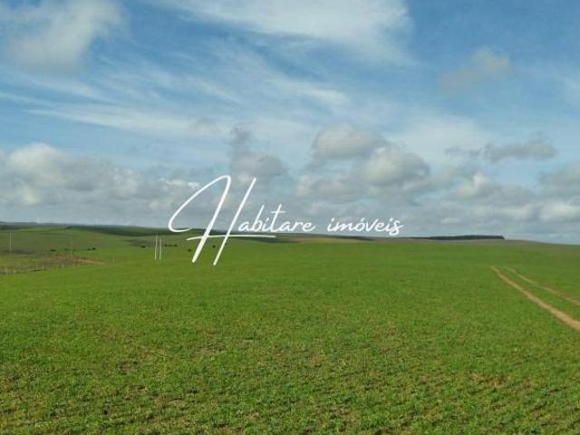 FAZENDA DE ELITE À VENDA: 430 HECTARES de Alto Potencial em Rosário do Sul/RS!