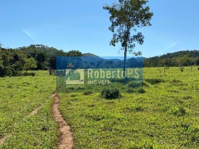 Fazenda de gado à venda na região de Paracatu MG com 212 hectares