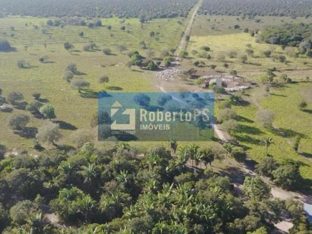 Fazenda de luxo à venda em Cocalinho MT, Centro: 5 quartos, 2 salas, 6 banheiros, 4 vagas, 6.146ha d