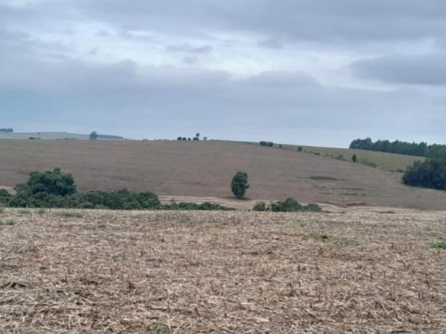 Fazenda de luxo à venda em Pardinho SP, Zona Rural: 3 quartos, 2 suítes, 3 salas, 3 banheiros, 3 vag