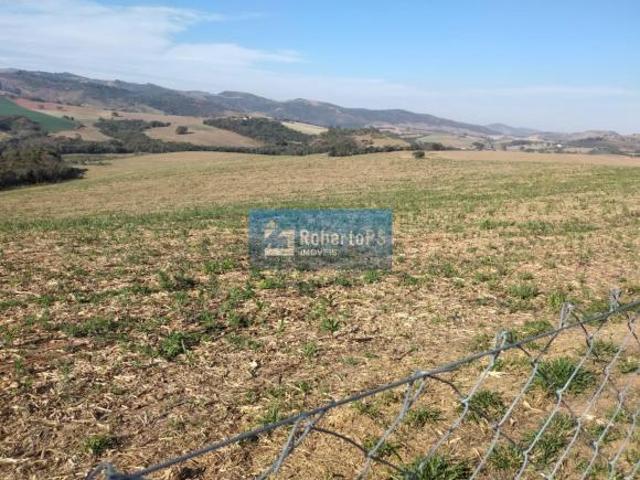 Fazenda de luxo no Centro de São Gonçalo do Sapucaí MG: 7 quartos, 7 suítes, 7 banheiros, 20 vagas d