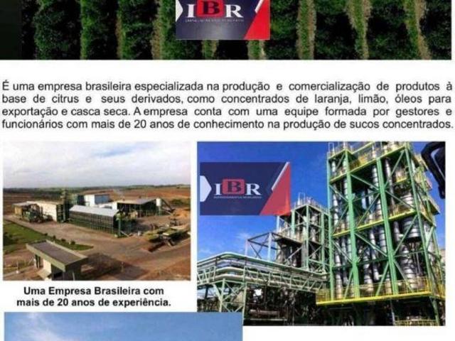 Fazenda de Laranja no estado de São Paulo