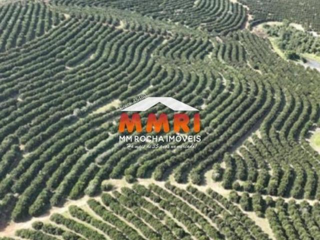 Fazenda de Laranja na região de Itapetininga/SP