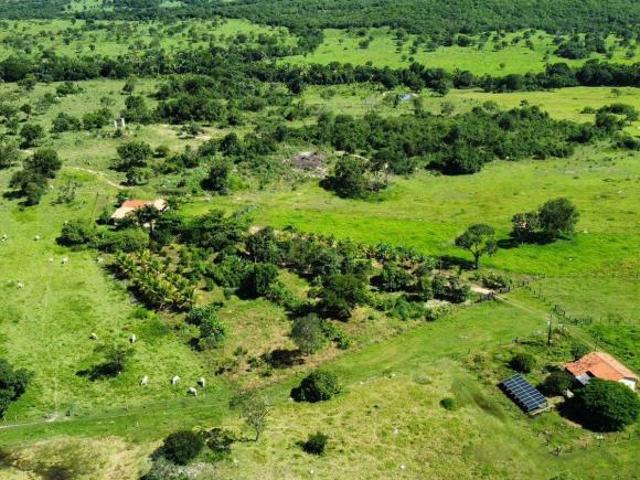 FAZENDA DE PECUÁRIA NA REGIÃO DE COLINAS DO SUL, GOIÁS
