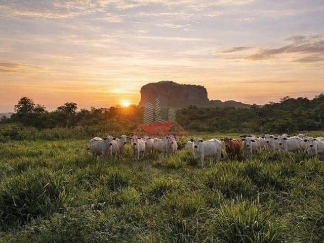 Fazenda de Pecuária à Venda em Poxoréu MT | 1.045 Hectares
