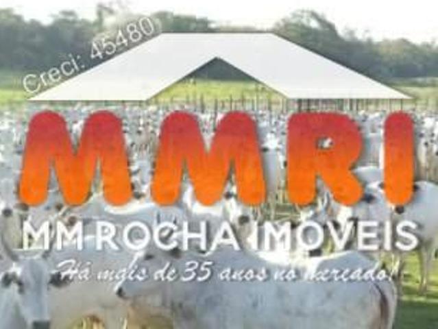 Fazenda de Pecuária Rondolânda/MT
