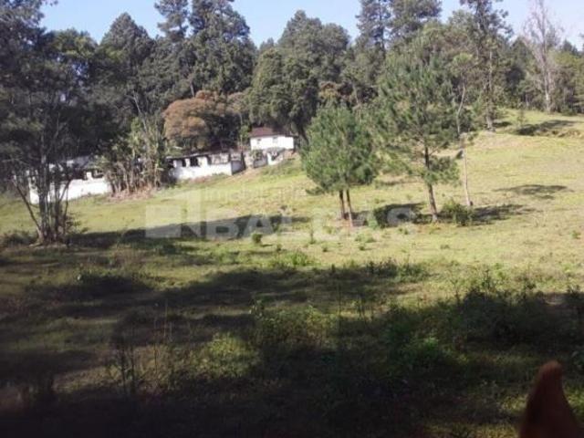 FAZENDA DE REFLORESTAMENTO À VENDA OPORTUNIDADE EM EMBU GUAÇU/SP