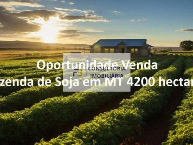Fazenda de Soja em Mato Grosso