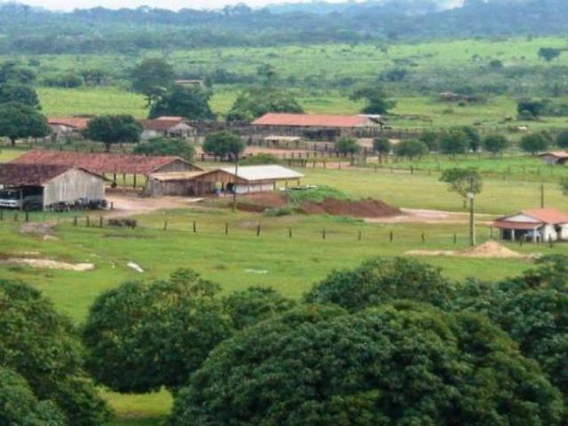 Fazenda de 149.515 Hectares à Venda em Mato Grosso com Gado e Madeira Nobre