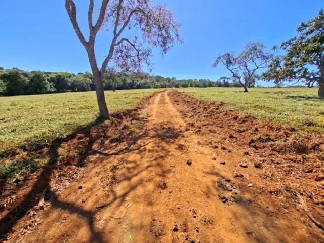 FAZENDA DE 15 ALQUEIRES EM SANTO ANTÔNIO DO DESCOBERTO – GO