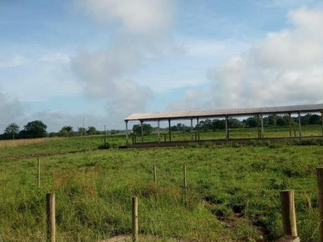FAZENDA DE 160 ALQUEIRES NO VALE DO RIBEIRA valor por alqueire