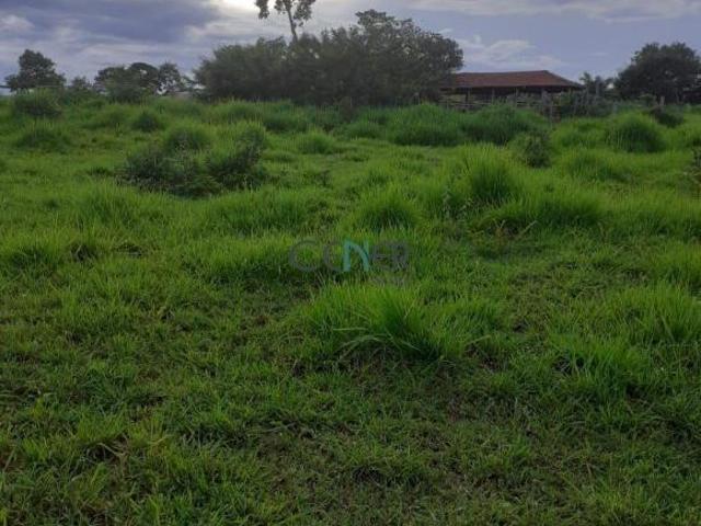 Fazenda de 1700 ha em São Francisco MG