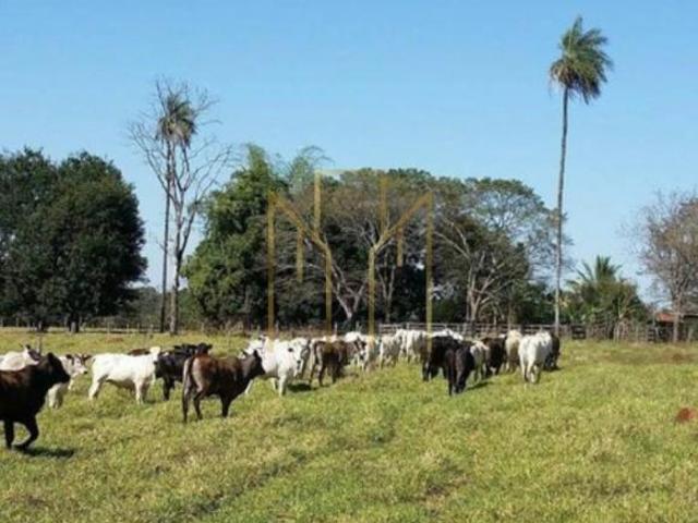Fazenda de 17 alqueires à venda em Uberlândia MG, no bairro Tubalina: oportunidade única!